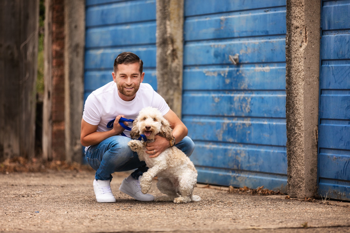 What is the dog in car law?